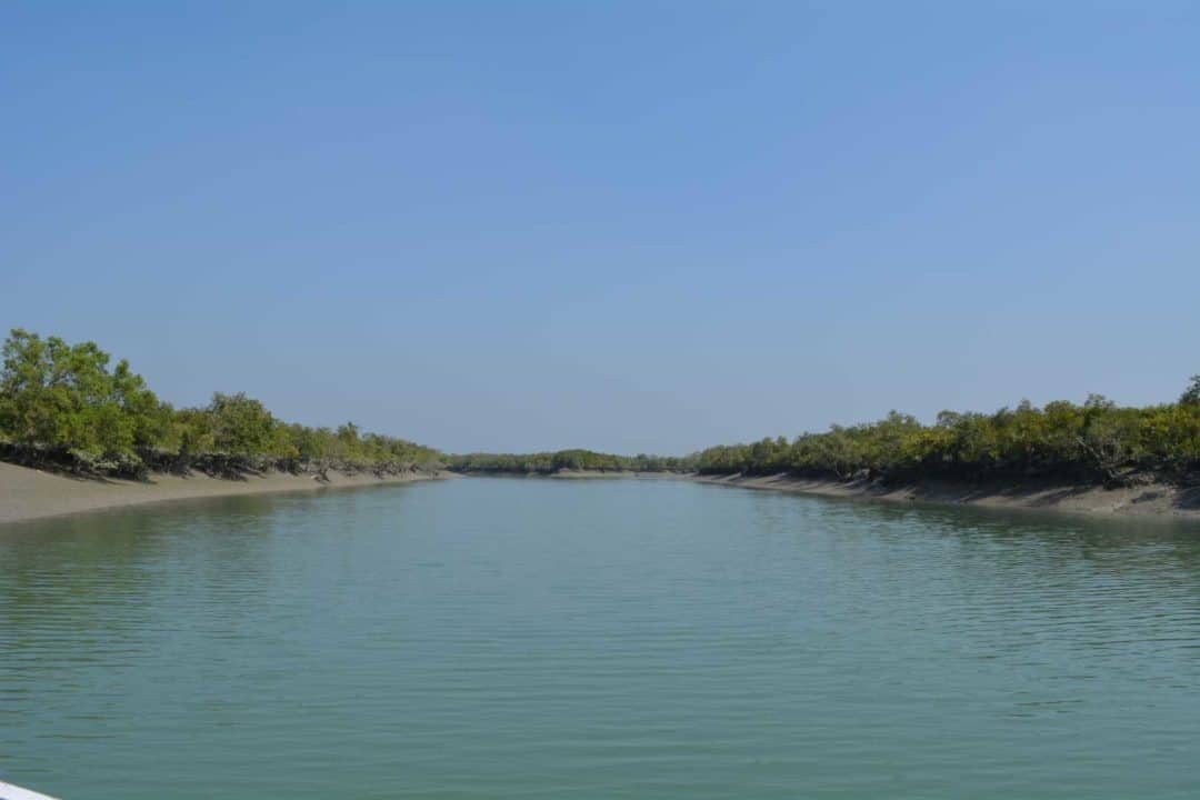 Sundarban - Into The Wilderness - Krishnandu Sarkar