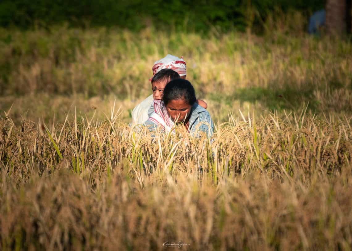 Unexplored Arunachal | Ledum Village | Part 5 - Krishnandu Sarkar