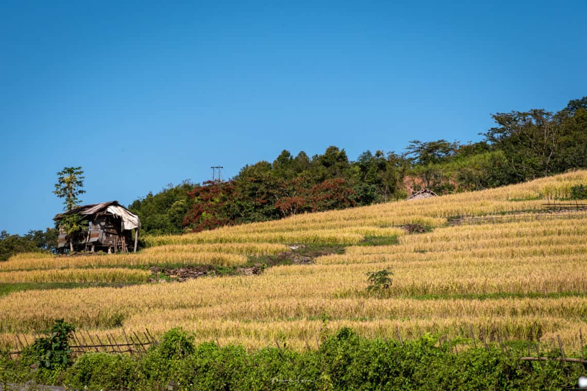 Unexplored Arunachal | Ledum Village | Part 5 - Krishnandu Sarkar