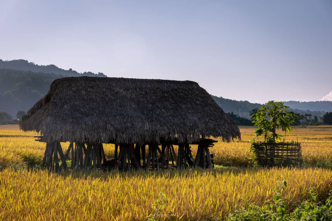 Unexplored Arunachal | Ledum Village | Part 5 - Krishnandu Sarkar
