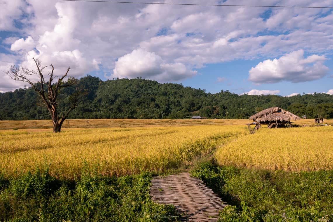 Unexplored Arunachal | Ledum Village | Part 5 - Krishnandu Sarkar