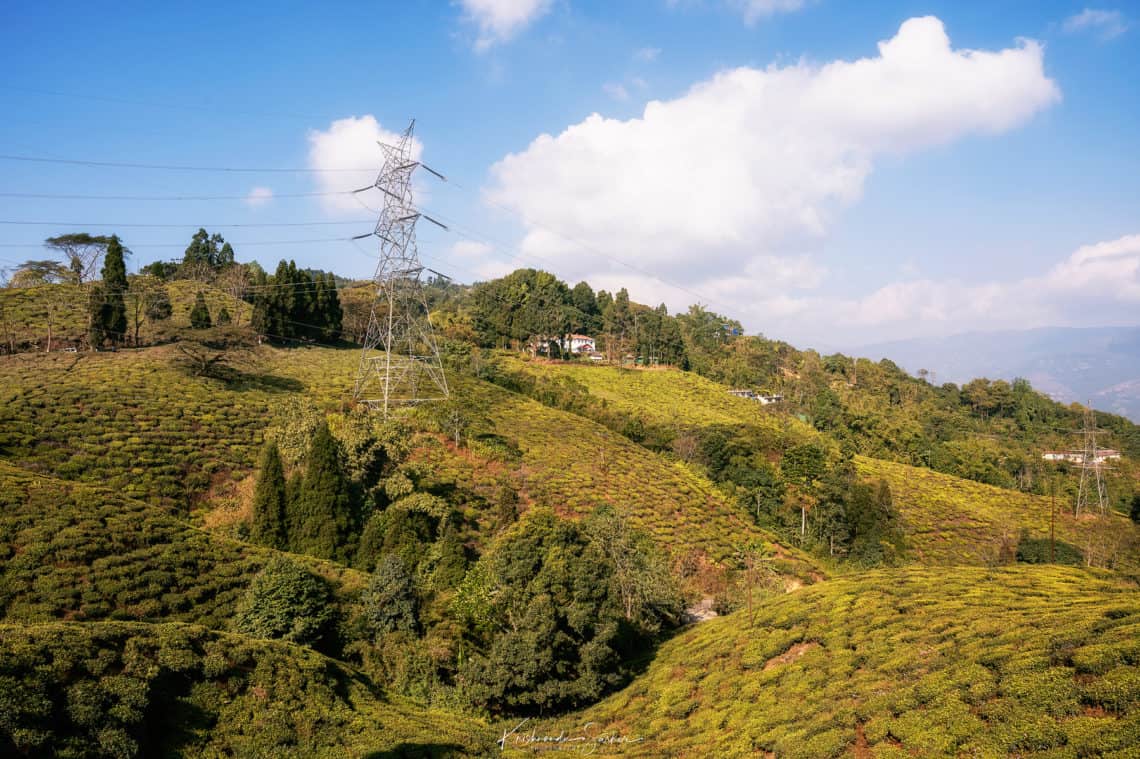 Tabakoshi - A Land of Pristine Tea Garden - Krishnandu Sarkar