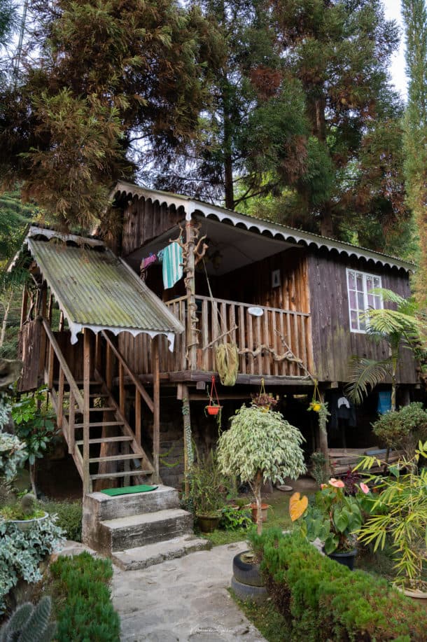 Tabakoshi - A Land of Pristine Tea Garden - Krishnandu Sarkar