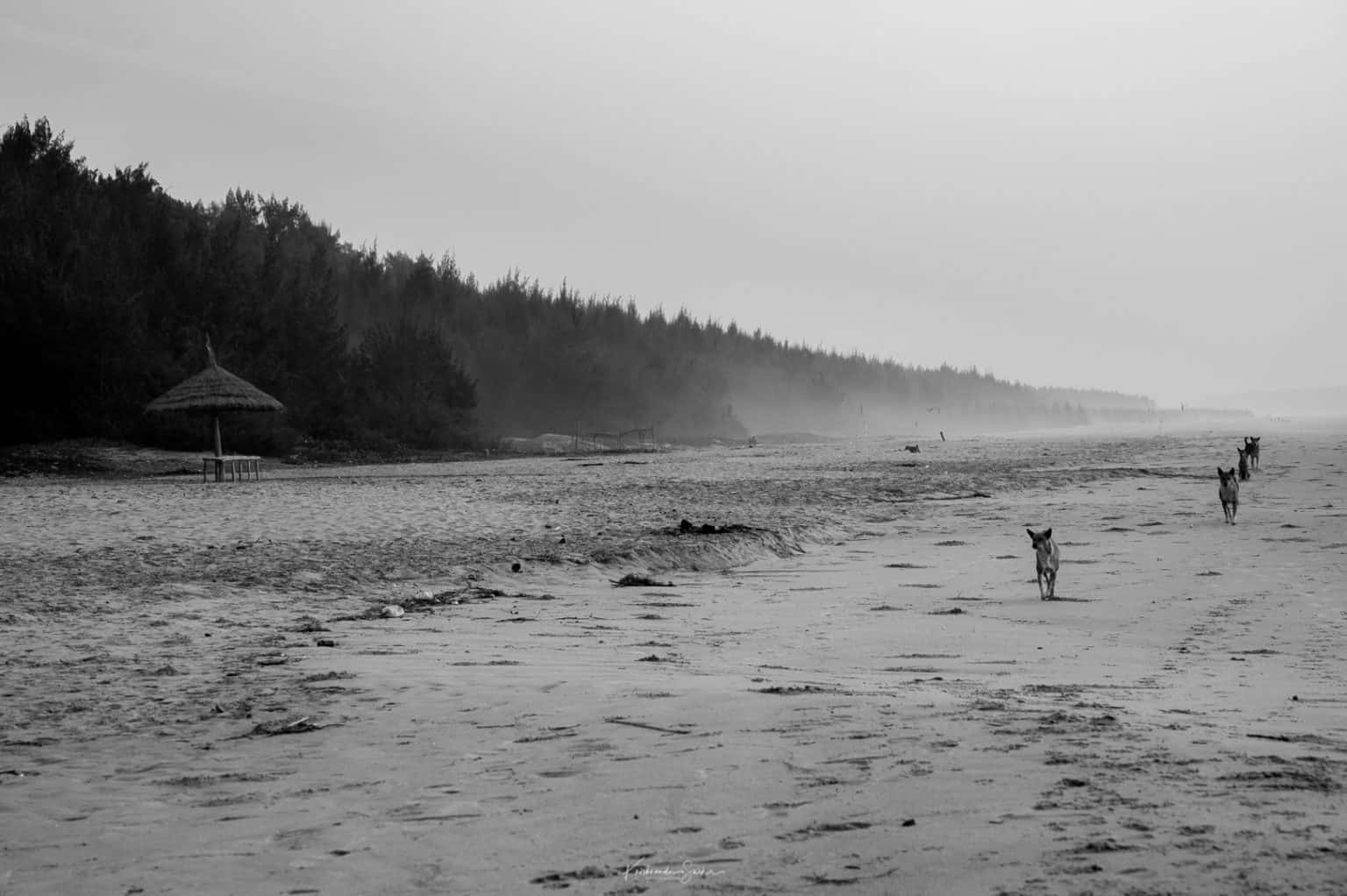 Camping at Dublagadi Bagda Sea Beach - Krishnandu Sarkar