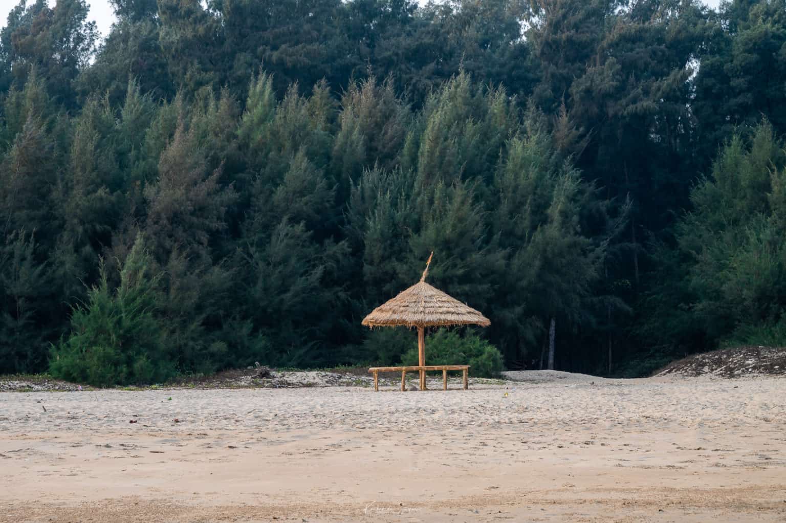 Camping at Dublagadi Bagda Sea Beach - Krishnandu Sarkar